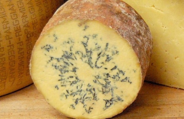 Stilton-half | YOSO-Walk